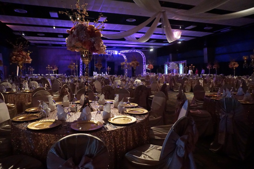 Gallery | RMB Fairgrounds